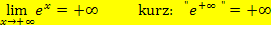 Grenzwerte von e- und ln-Funktionen | Nachhilfe von Tatjana Karrer